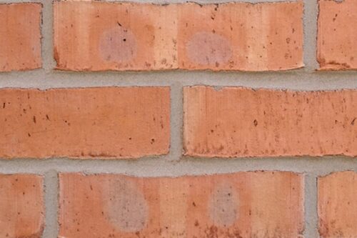Shelton Russet Brick | Forterra Bricks | ET Bricks